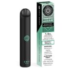 Envi Boost Disposable Vape: Intense Mint (1pk) | 1500 puffs | 180 Smoke