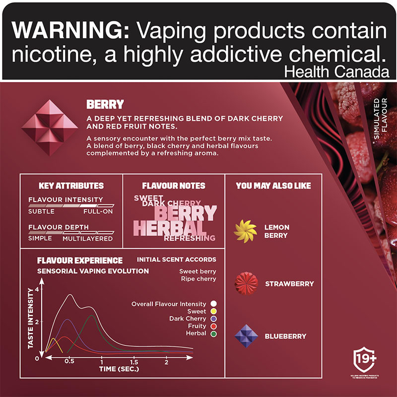 Vuse ePod 2pk Bundle | 180 Smoke