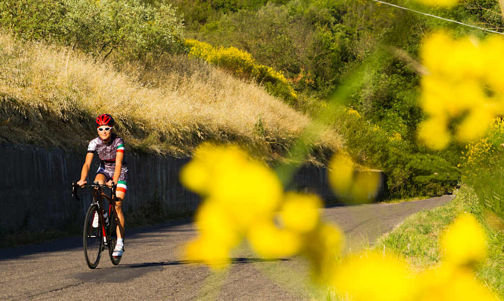 Easy Biking - VBT Vacations