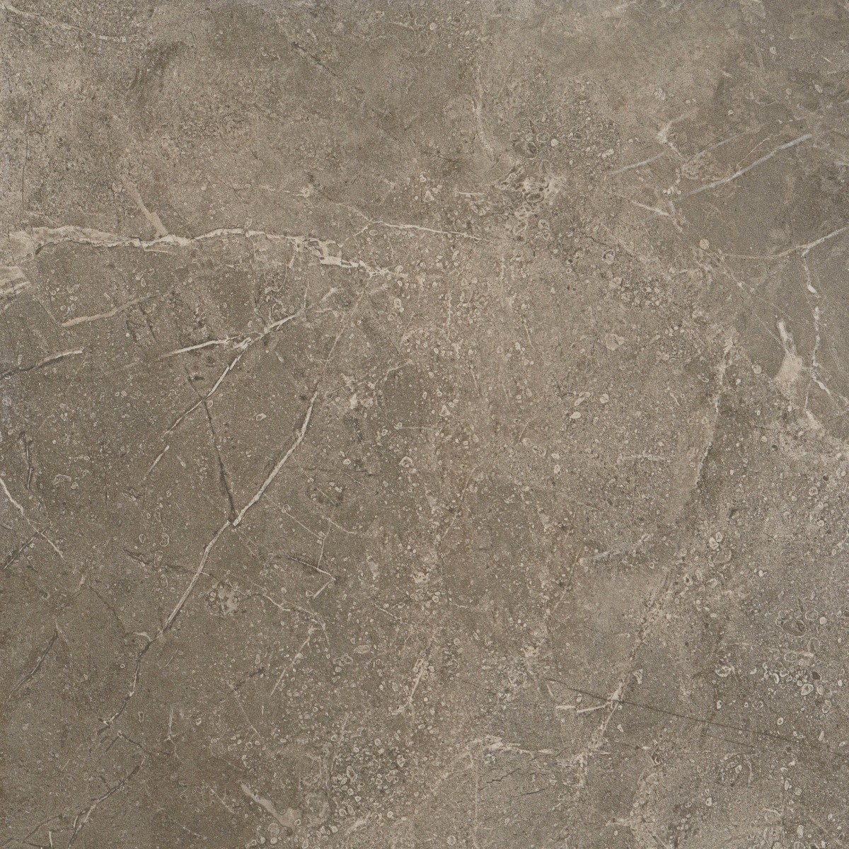 Carpet Mill Outlet Stores - REALM