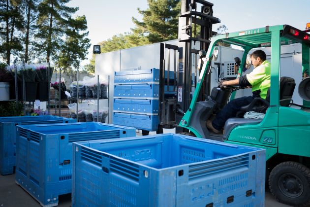 Foldable bins transition comes up roses - PKN Packaging News