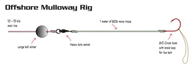 Catching fish for eating - Fishing World