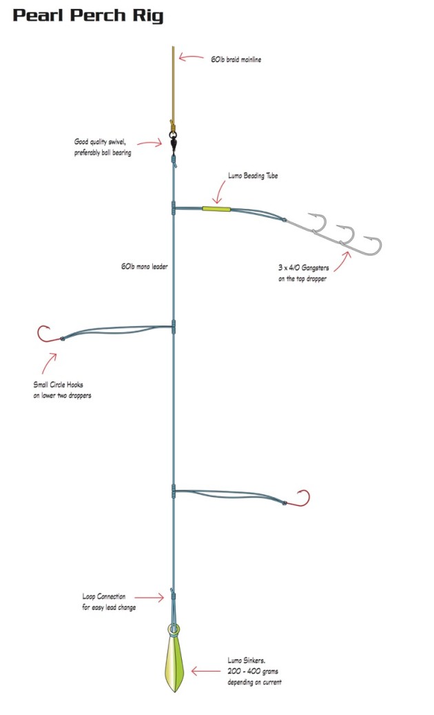 Catching fish for eating - Fishing World