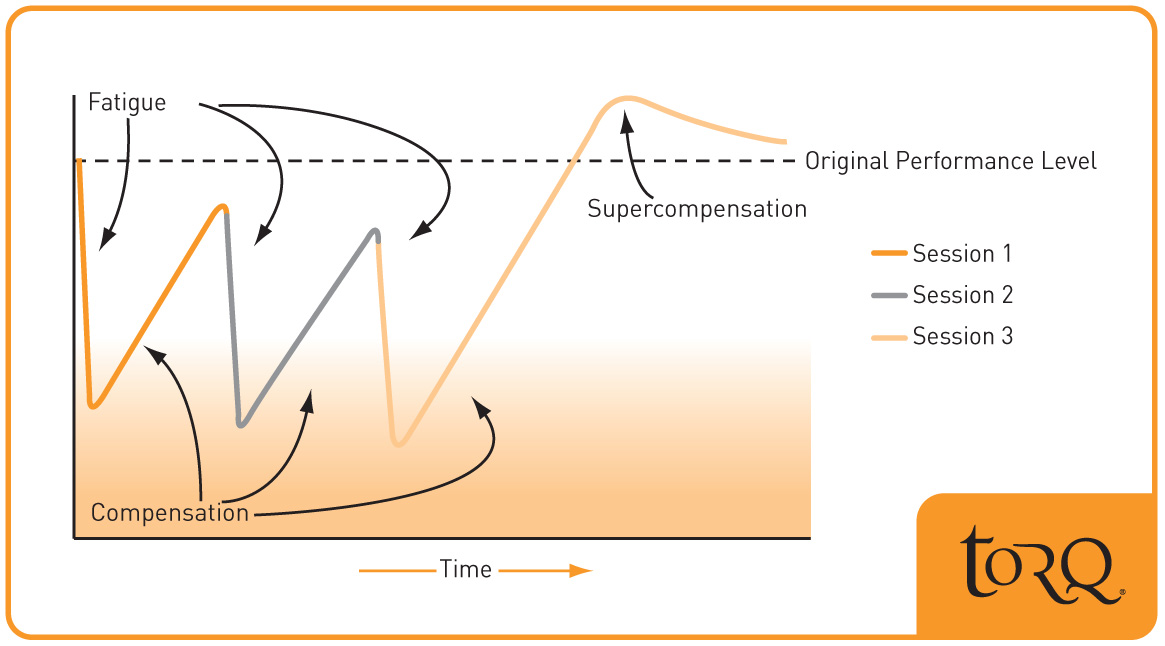 Training: How to Peak for an Event - Mountain Biking Australia magazine