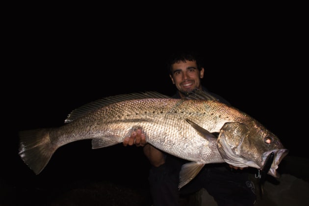 Mullet run mulloway - Fishing World