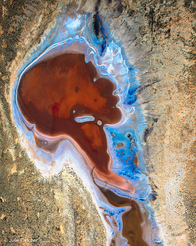 Winners of the 2017 Australian Geographic Nature Photographer of the ...