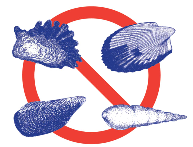 Harmful algae sparks shellfish warnings at various locations across NSW ...