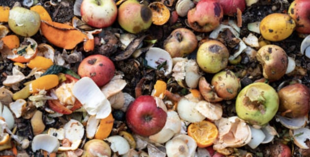 NGOs press COP31 to cut food waste - Food & Drink Business