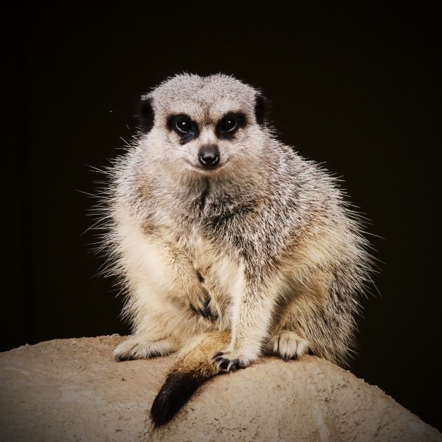 All eyes on you - Capture magazine