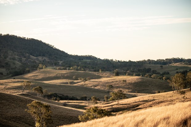Scenic Rim Views - Australian Photography