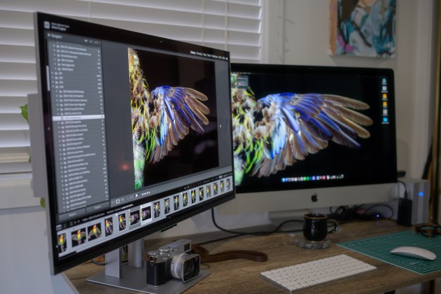 Review: ASUS ProArt Display OLED PA32UCDM 32" monitor - Australian ...