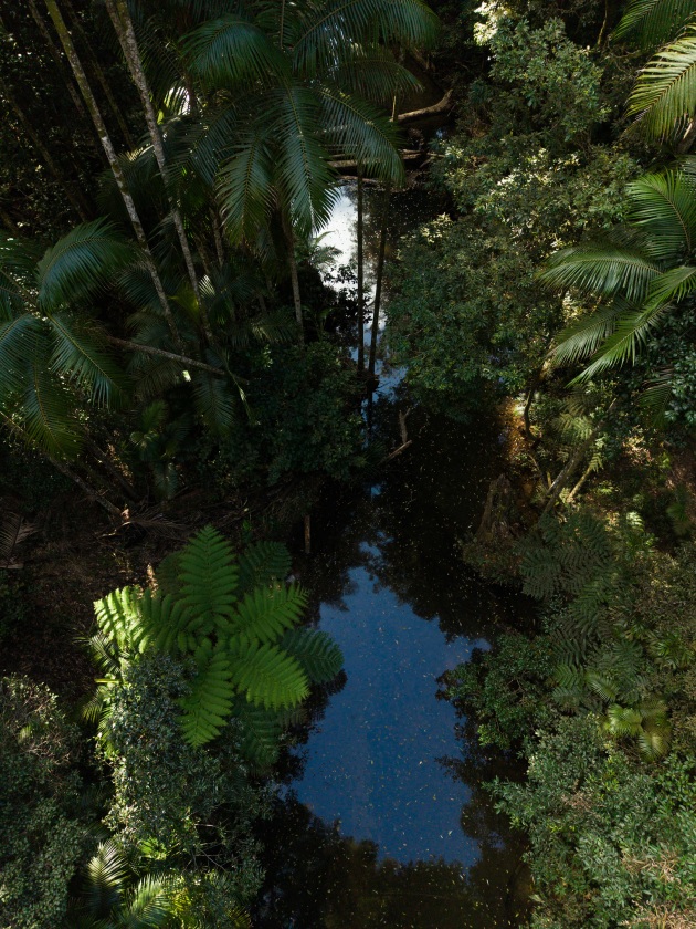 Review: DJI Mini 5 Pro - Australian Photography