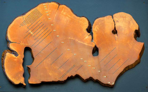 Pearce River Tree Ring records 2,200 years of history - Australian Wood ...