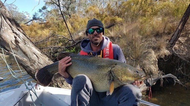 Metre-plus Murray cod wins $80K at Nagambie - Fishing World