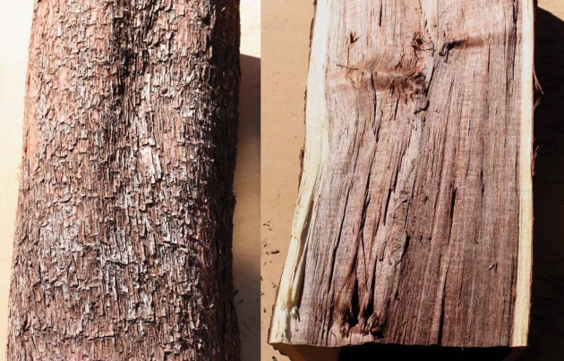 Working with wattles - Australian Wood Review