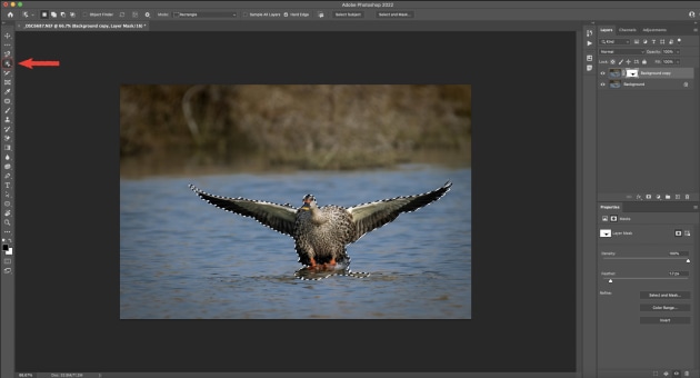 Photoshop step-by-step: Create image blur - Australian Photography