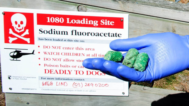 News Zealand's 1080 Poison Debate Heats Up - Kiwi Kill - Sporting Shooter