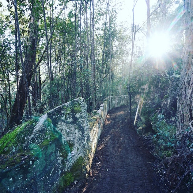 FNQ's Wangetti Trail on track for 2021 - Mountain Biking Australia magazine