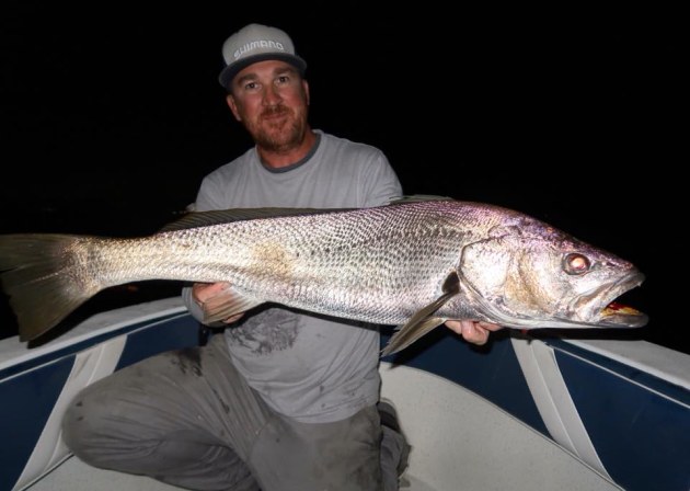How to catch mulloway - Fishing World