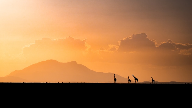 SINGLE SHOT 2023: TOP 20 - Australian Photography