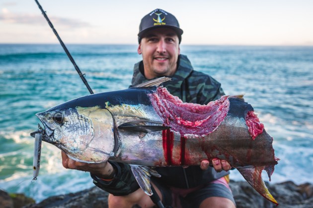 FISH FACTS: What is shark depredation? - Fishing World