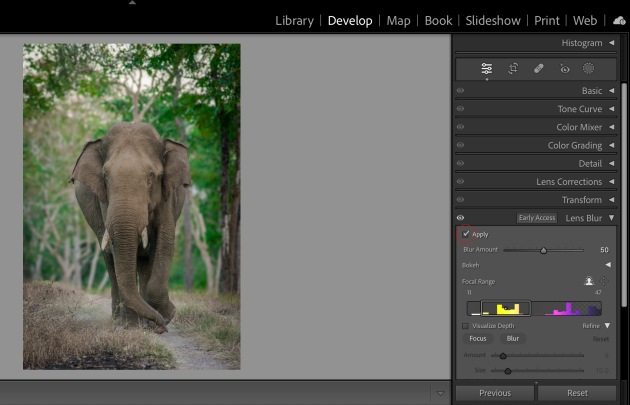 Lens Blur in Adobe Lightroom: A Step-By-Step Guide - Australian Photography