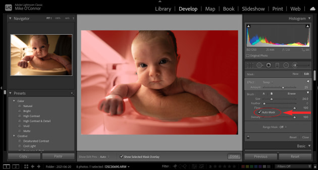3 more quick tips for using Lightroom's Adjustment Brush - Australian ...