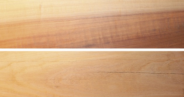 In praise of casuarinas - Australian Wood Review