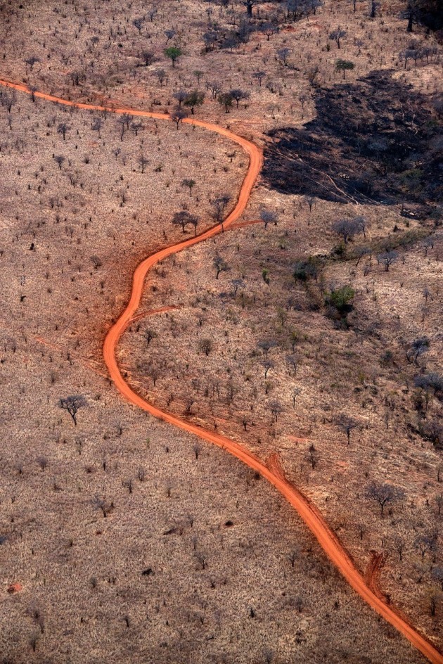 Lines & Tangles: Aerial Abstractions of the Tarangire National Park by ...