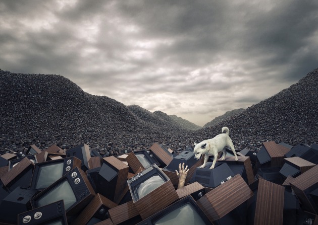 In the bag - Gary Sheppard - Capture magazine