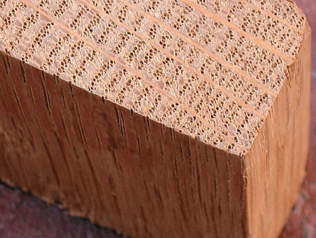What makes wood 'hard' or 'soft' - Australian Wood Review