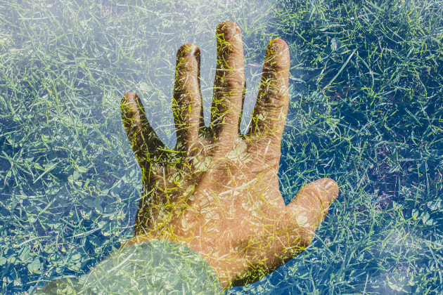 Bye Photoshop: Four in-camera creative photo tricks - Australian ...
