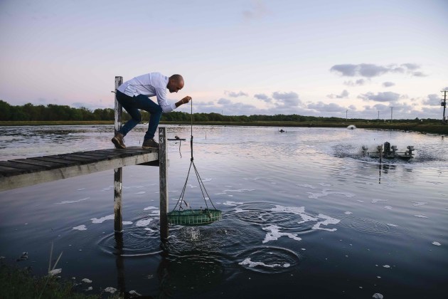 Sustainable Seafood Award winners showcase best practice - Food & Drink ...