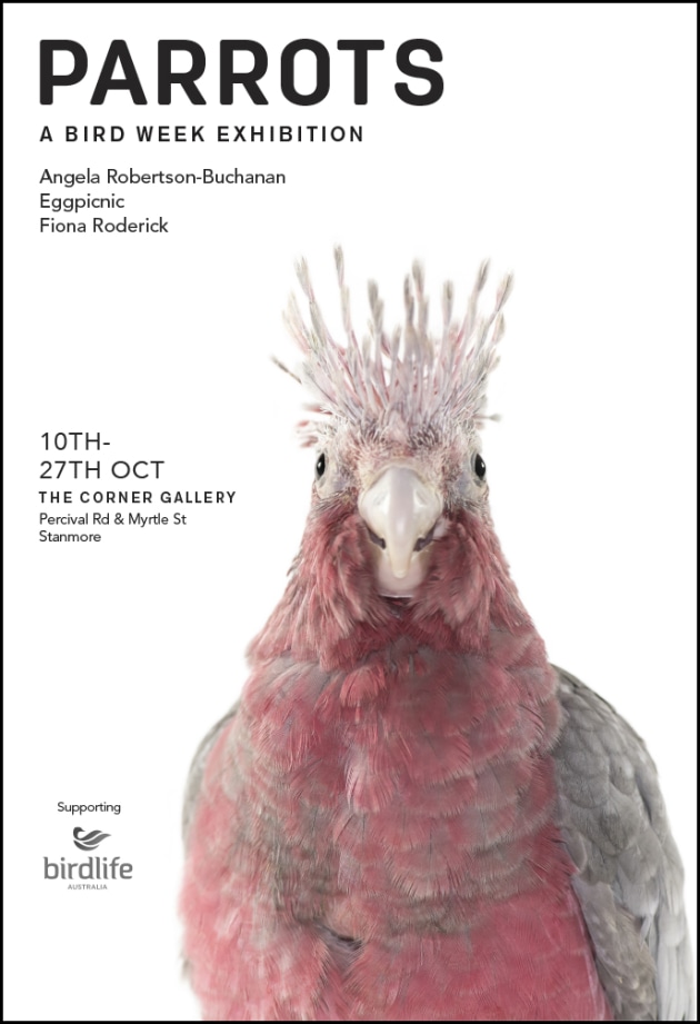 New exhibition celebrates Australia's unique parrot species ...