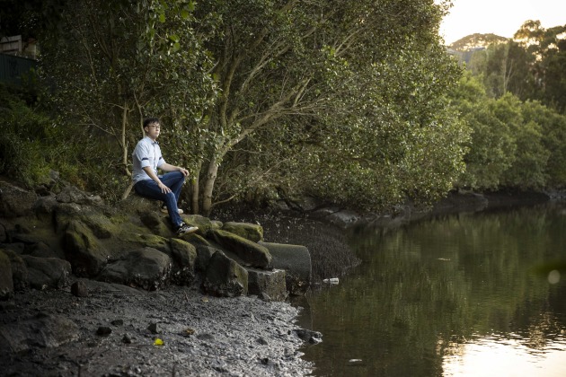 Plant more native trees: the benefits are official - Australian Wood Review