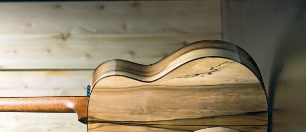 Tonewoods: woods that suit musical instrument making - Australian Wood ...
