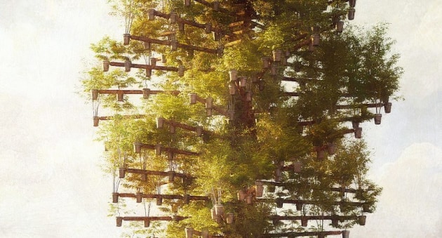 Tree of Trees celebrates 70 platinum years - Australian Wood Review
