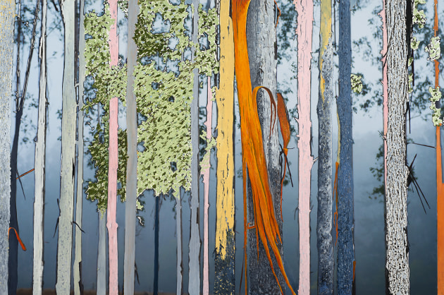 Big Tree Notes: Greg Weight's latest photography exhibition opens ...