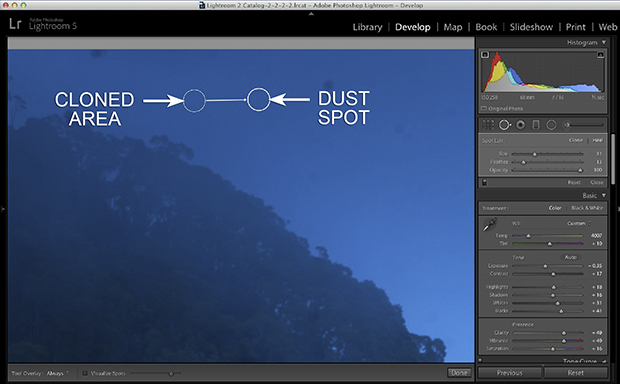 How To Remove Dust Spots - Australian Photography