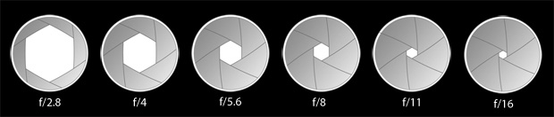 Photo Tip of the Week: How to Take Control of Depth of Field ...