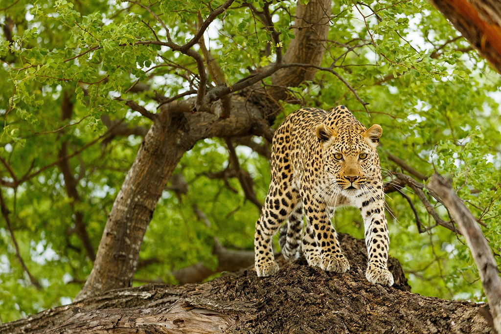 Photographer of the Year 2014: Featured Portfolio #2 - Australian ...