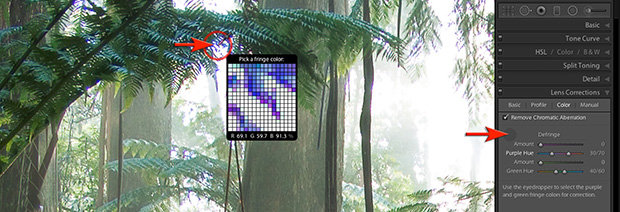 How To: Correct Lens Distortions - Australian Photography