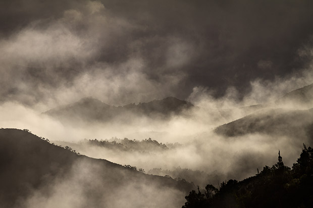Photo Tip of the Week: Shooting in Fog (Part One) - Australian Photography