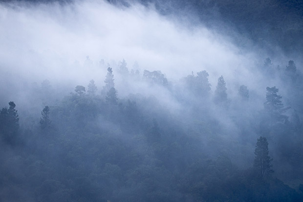 Photo Tip of the Week: Shooting in Fog (Part Two) - Australian Photography