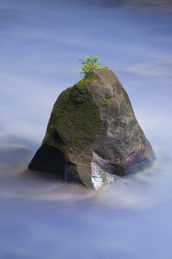 Photo Tip of the Week: How to Shoot Beautiful Rainforest Landscapes ...