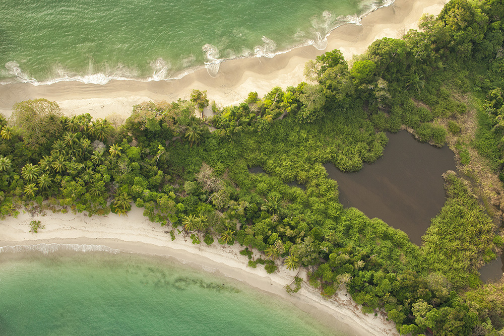 Photo Tip of the Week: How to Shoot Beautiful Rainforest Landscapes ...