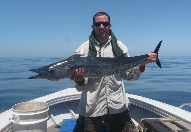 Fish Facts: Wahoo research - Fishing World