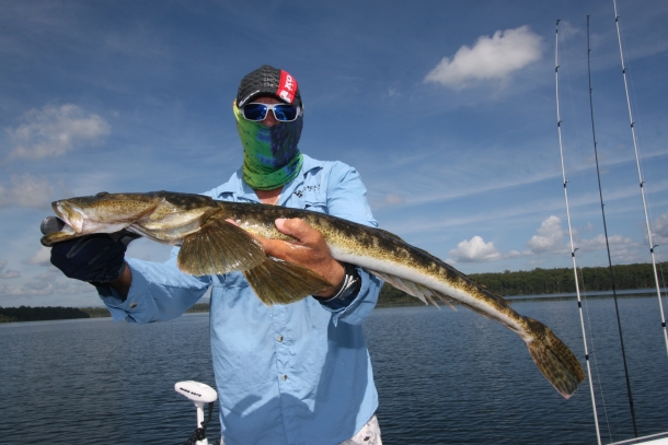 How to catch big flathead - Fishing World