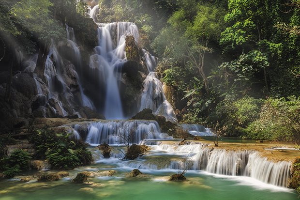 10 Essential Rainforest Photography Tips - Australian Photography