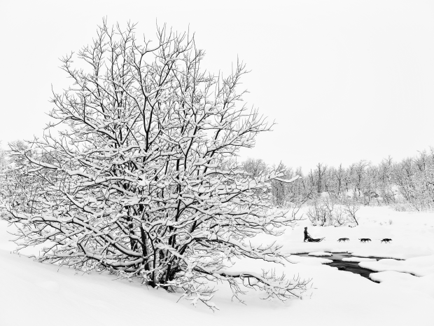 Australian Professional Photography Awards Announced - Australian ...